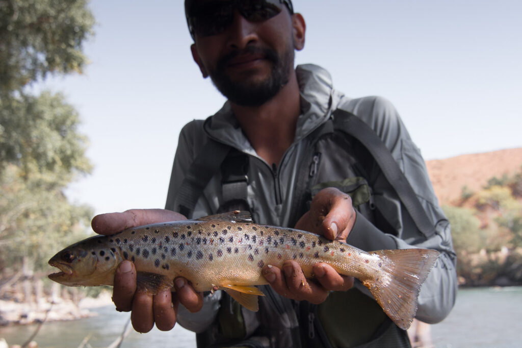 Trout fishing in Kyrgyzstan - Ikantravel Fishing Trips